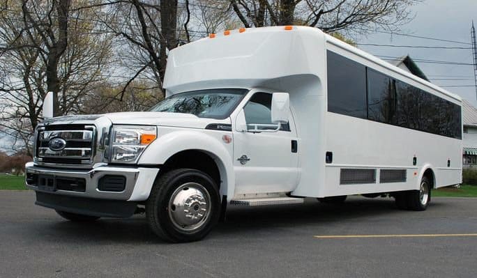 20 Passenger Party Bus Rental | Madison Party Bus Company